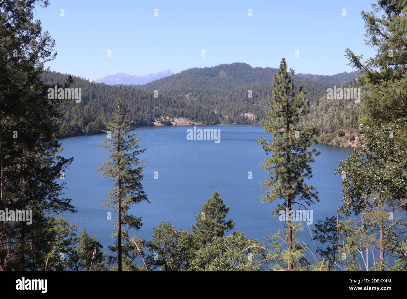 a View of Lewiston Lake in the Trinity Alps through pine trees ...