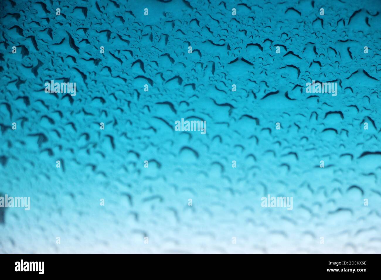 Blue water drops on ocean blue to silver gray gradient background Stock ...