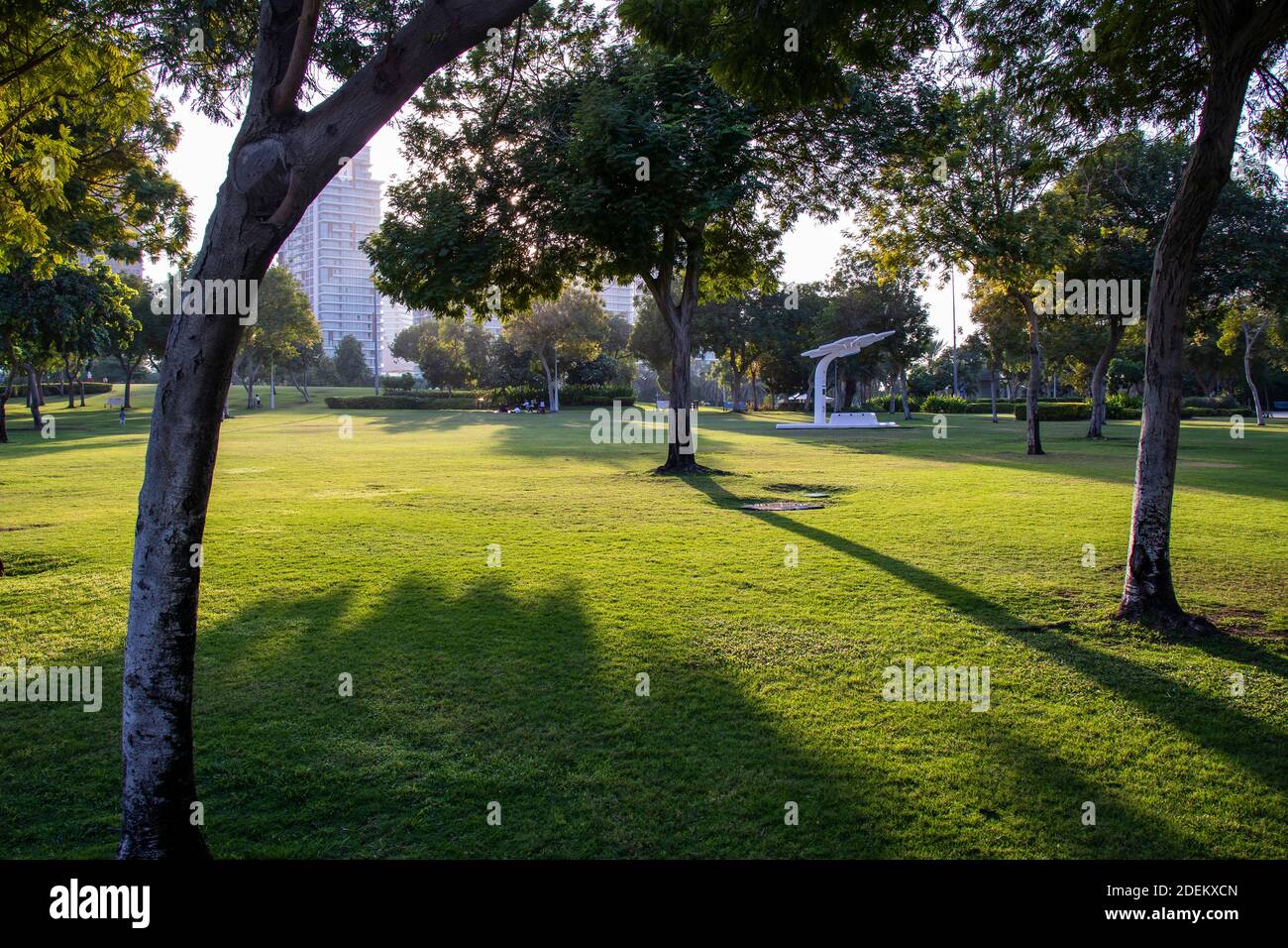 Smart palm installation in one of the most popular parks in Dubai ...