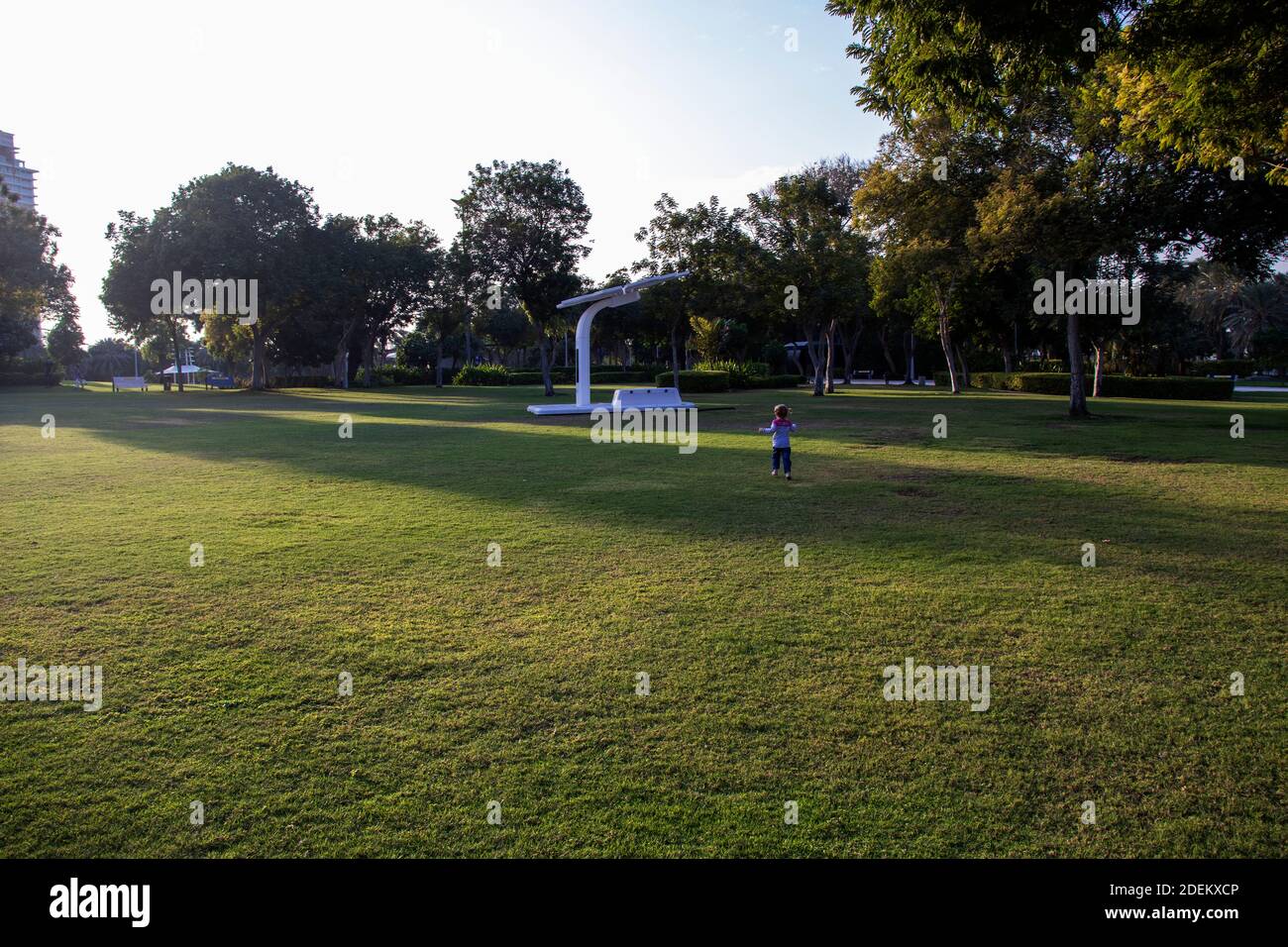 Smart palm installation in one of the most popular parks in Dubai ...