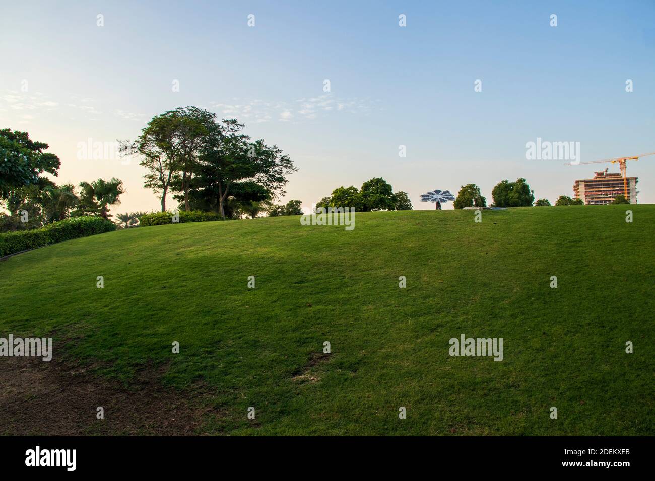 Smart palm installation in one of the most popular parks in Dubai ...