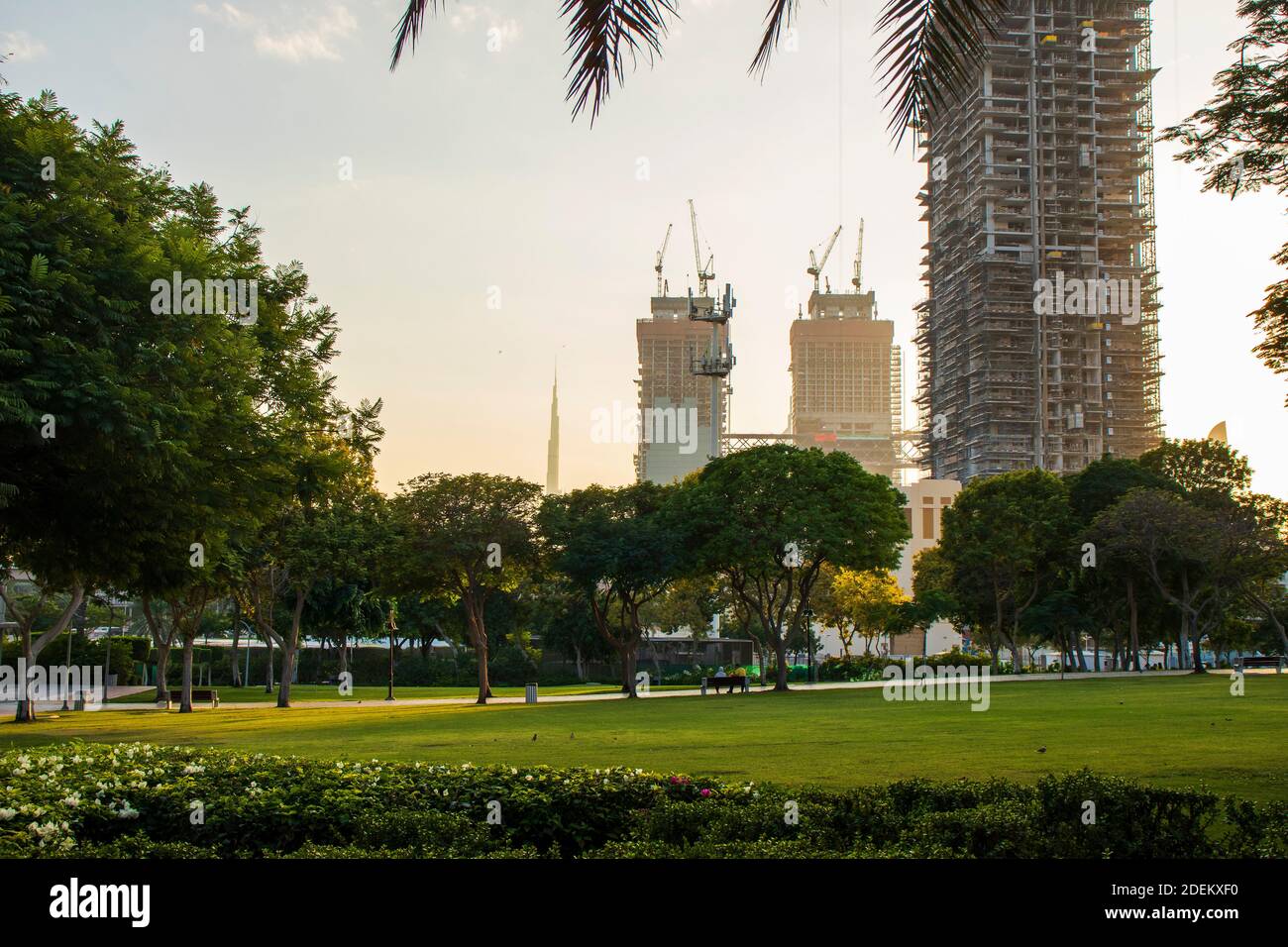 Shot from inside of a one of the most popular parks in Dubai. Zabeel ...