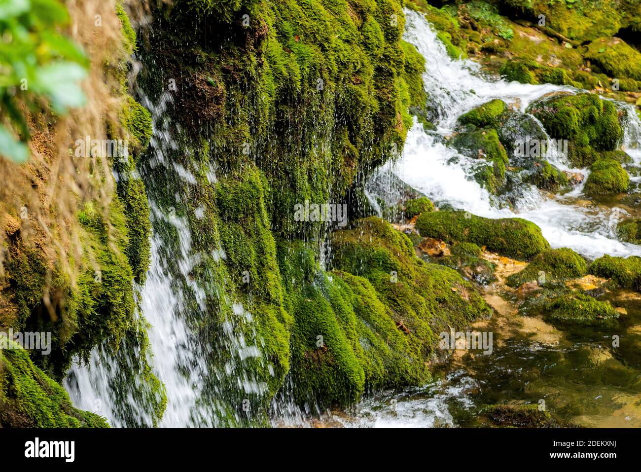 Ecology and nature. The source of clean drinking spring water among ...