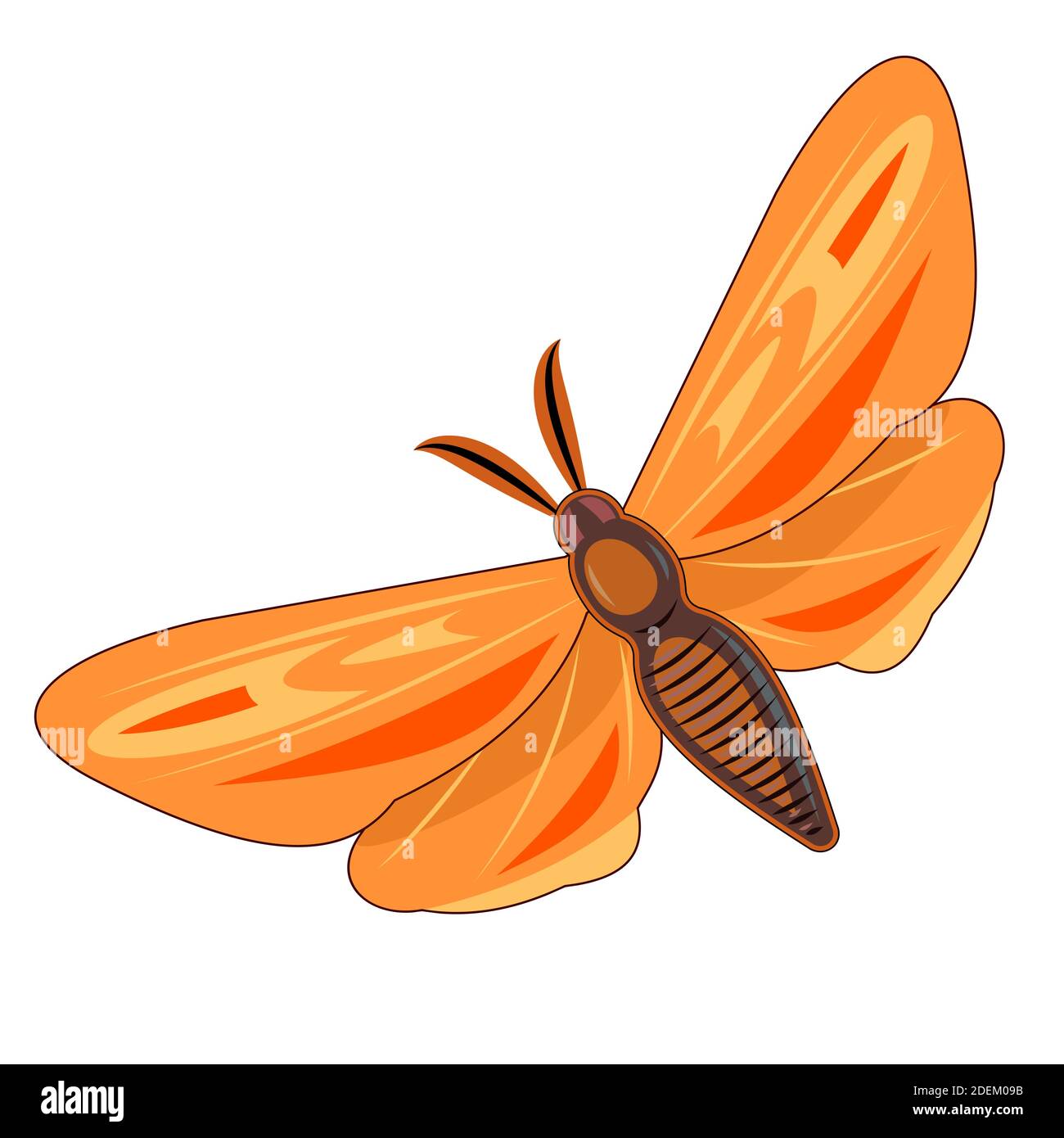 Orange butterfly. Bright beautiful composition. Isolated object on ...
