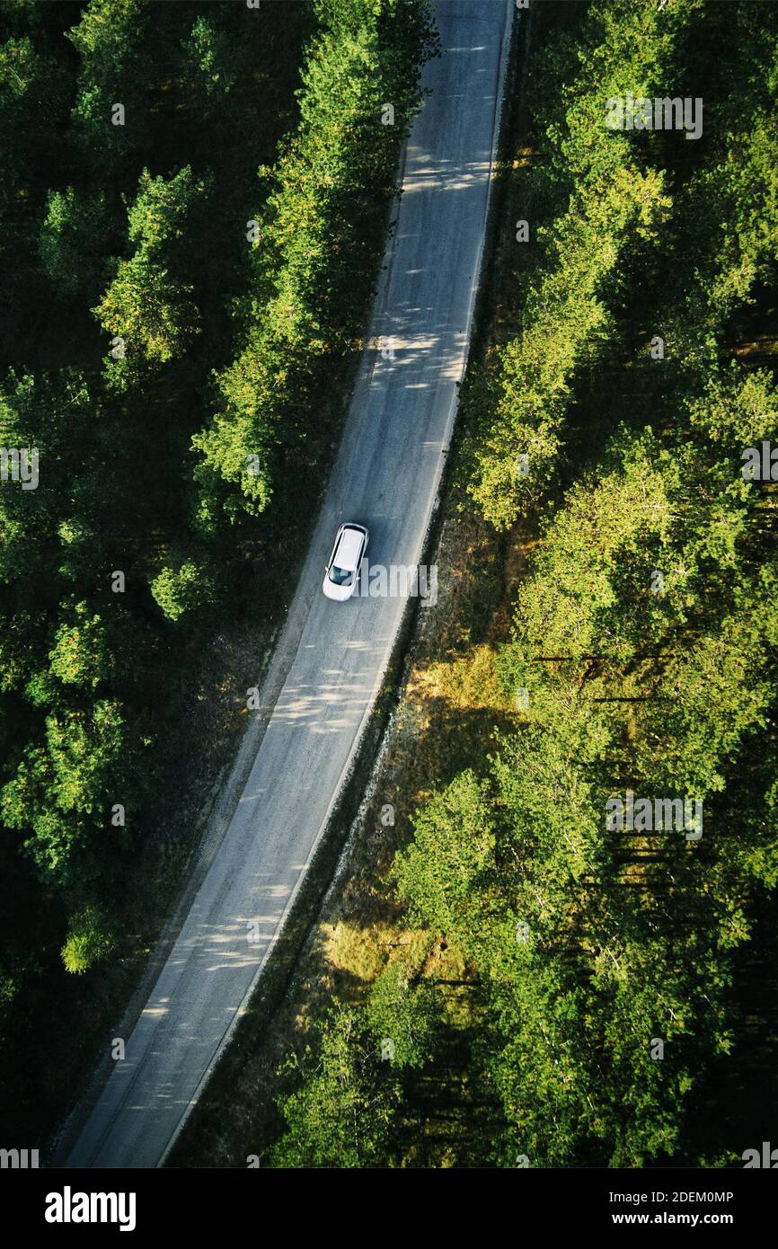 Car driving through forest hi-res stock photography and images - Alamy