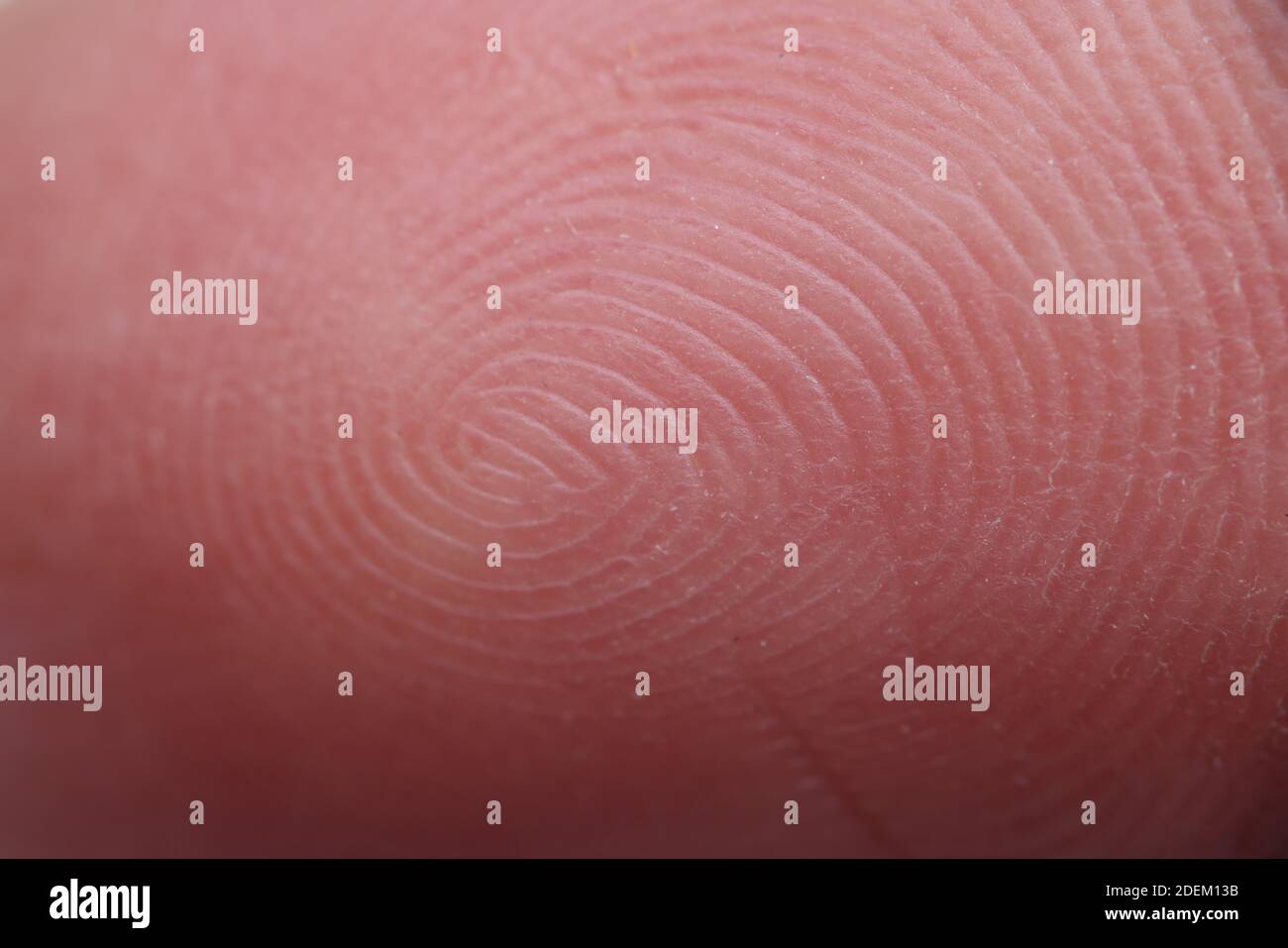 Unique human fingerprints on skin of hand in curl shape close-up Stock ...