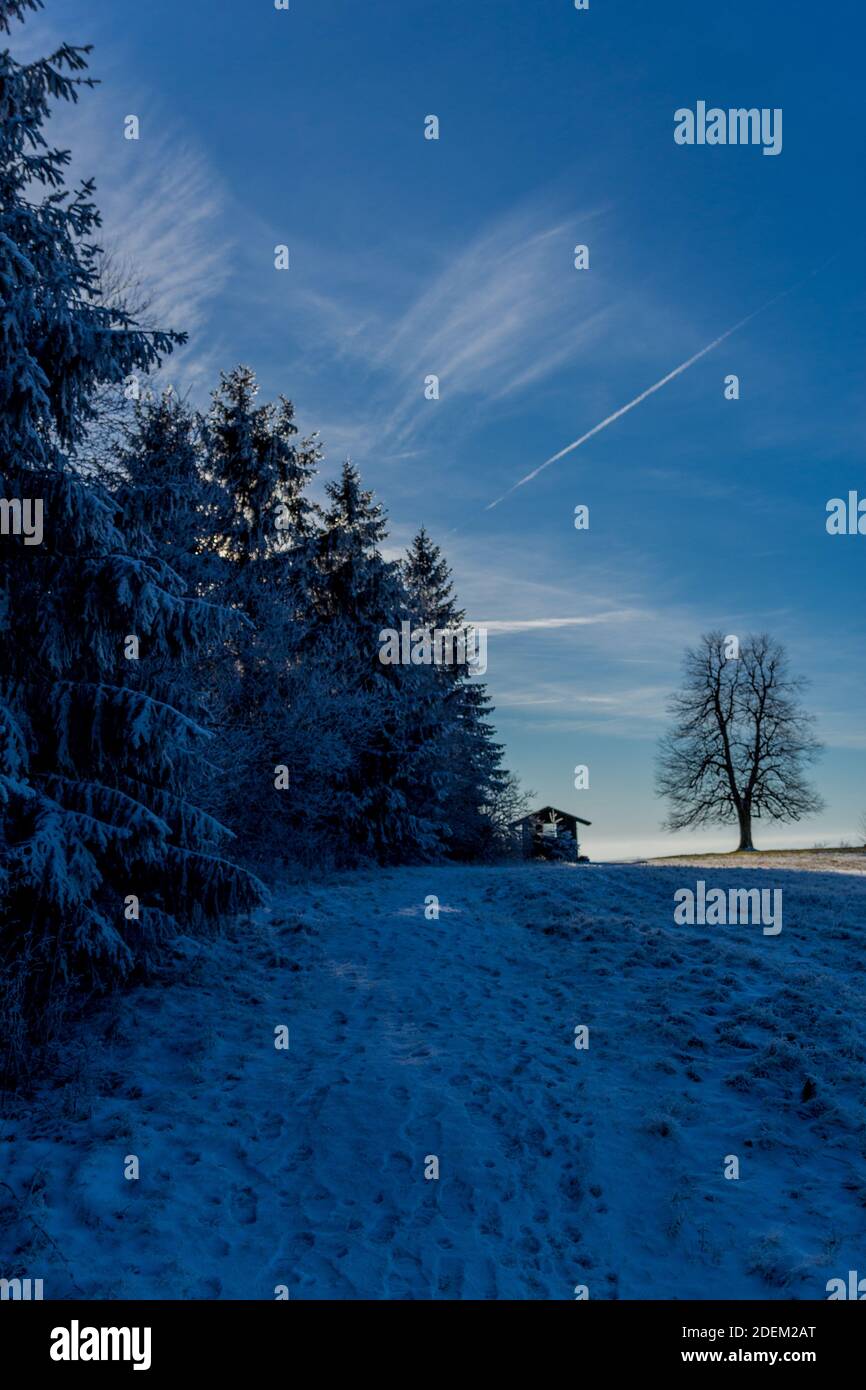 First small winter hike along the Rennsteig through the Thuringian ...