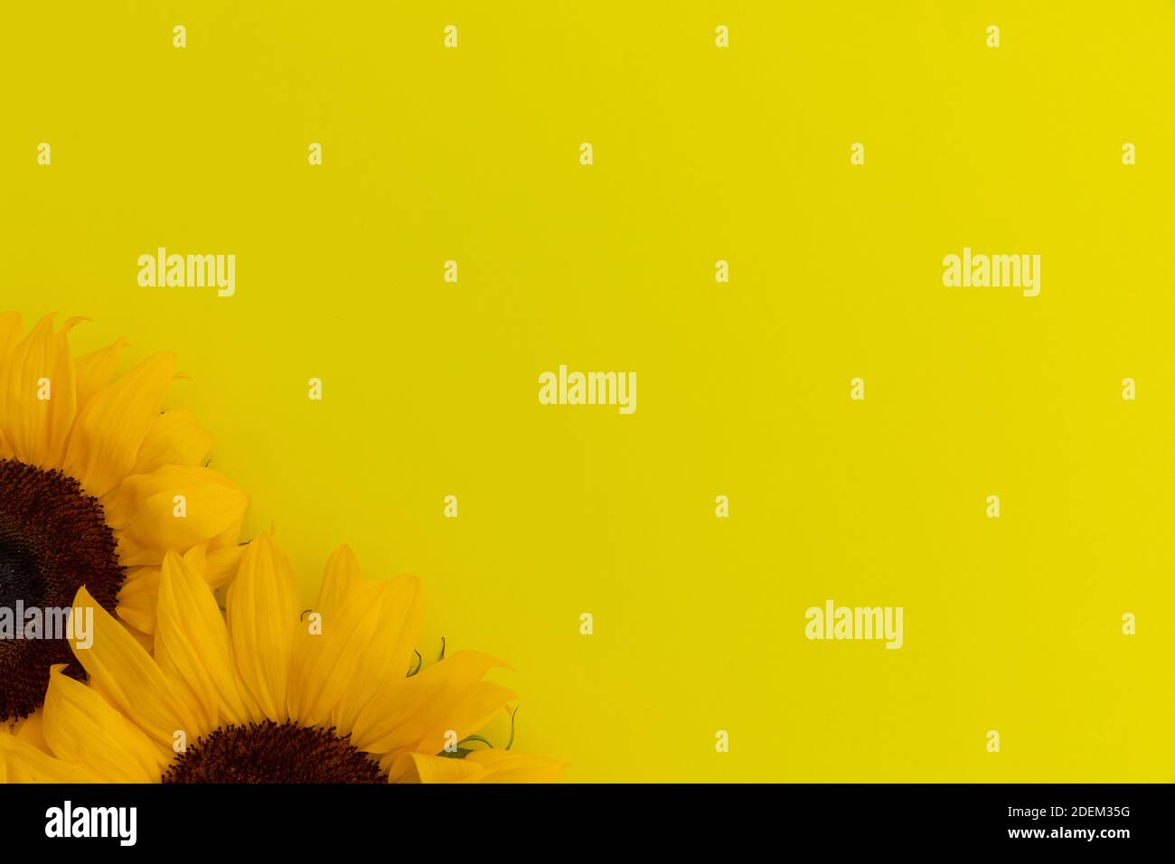 Yellow corner hi-res stock photography and images - Alamy
