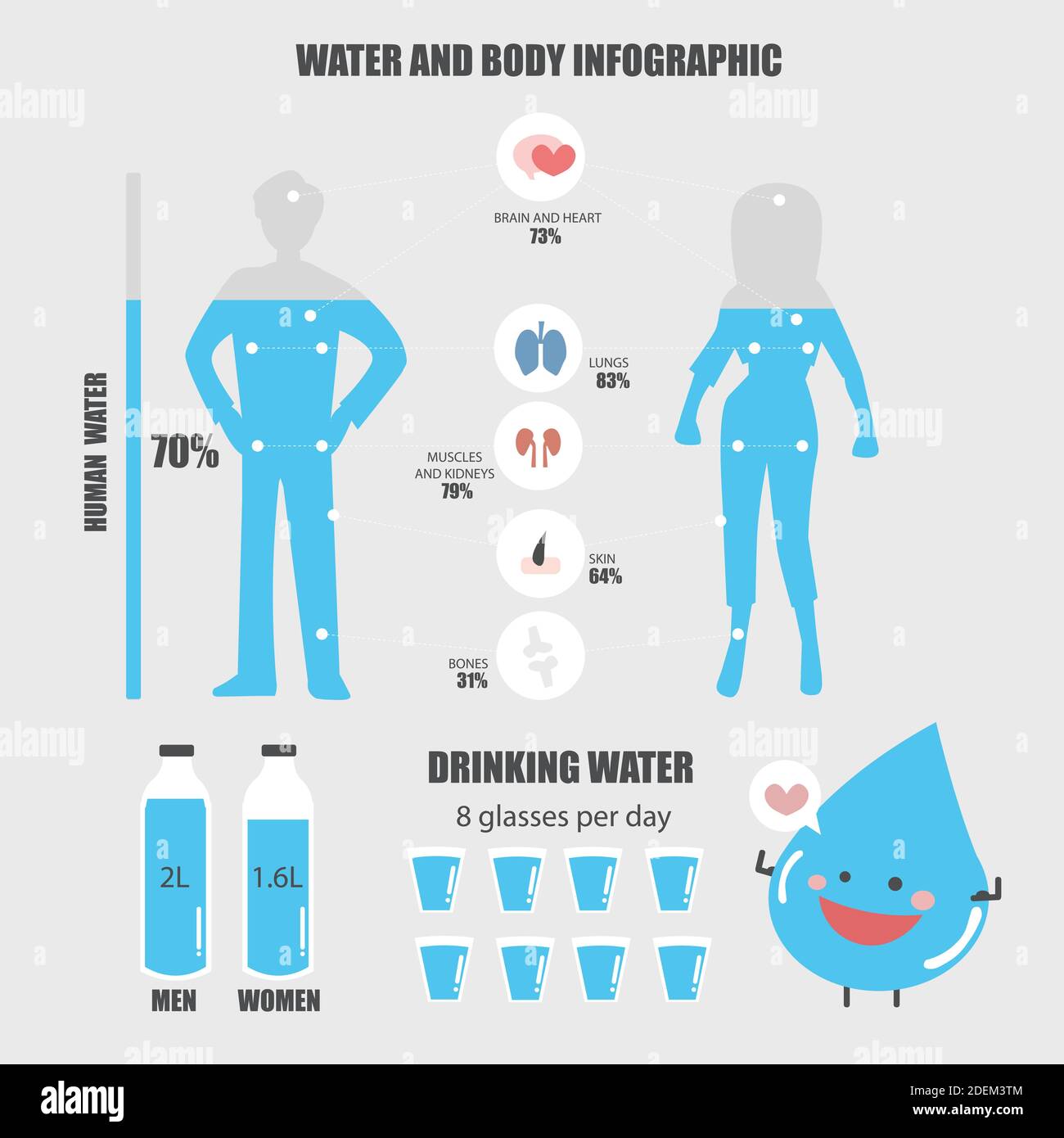 Human body water percentage Stock Vector Images - Alamy