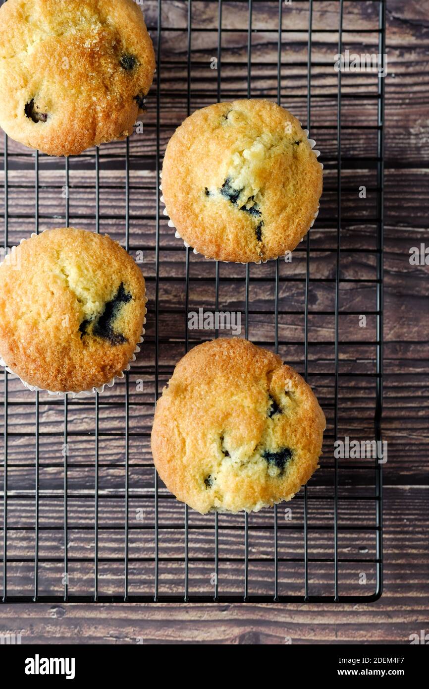 Home made Blueberry muffins cooling on a wire rack having been just ...