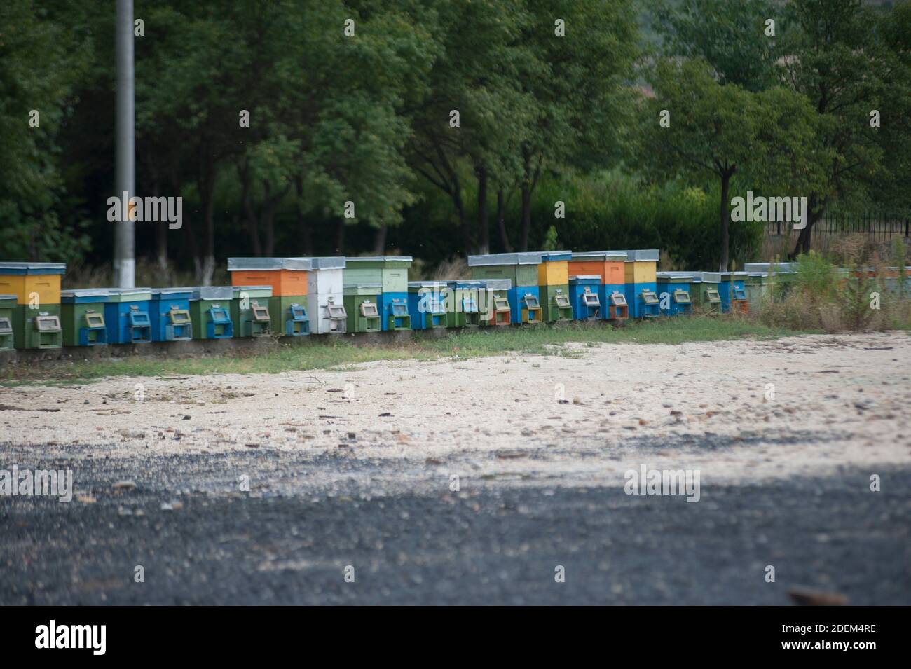 agriculture and farming in romania, plant growing and food production ...