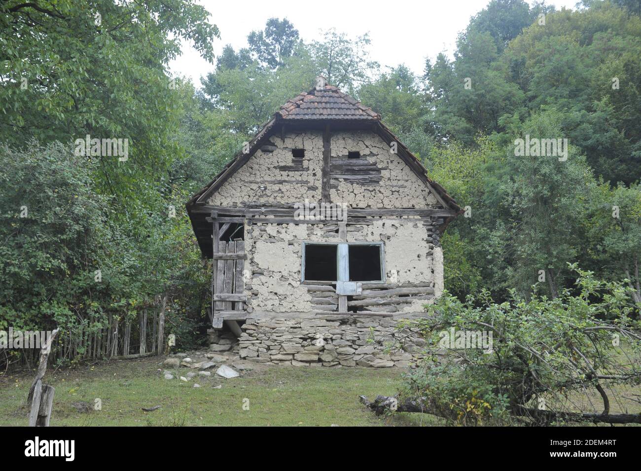 agriculture and farming in romania, plant growing and food production ...