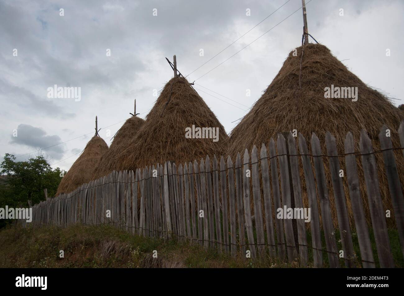 agriculture and farming in romania, plant growing and food production ...