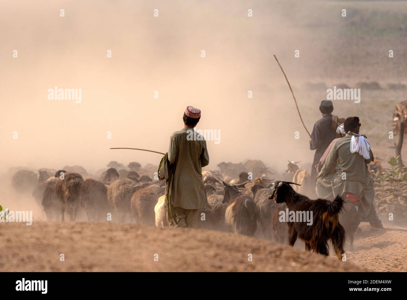 Berber Tribe High Resolution Stock Photography and Images - Alamy