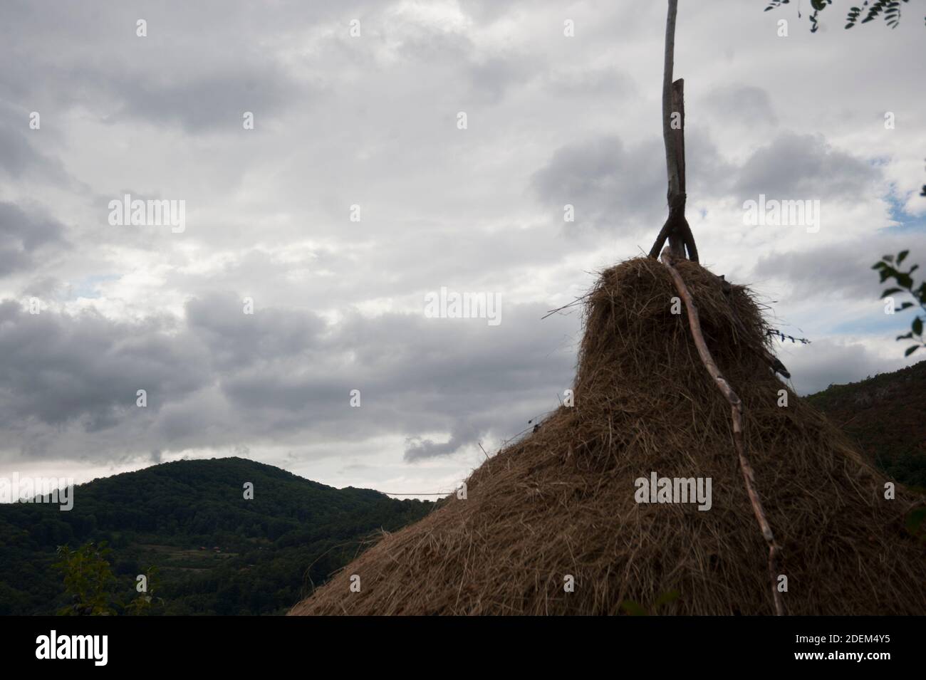 agriculture and farming in romania, plant growing and food production ...