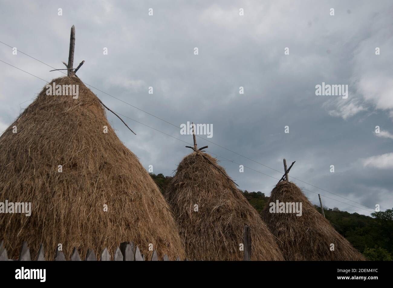 agriculture and farming in romania, plant growing and food production ...
