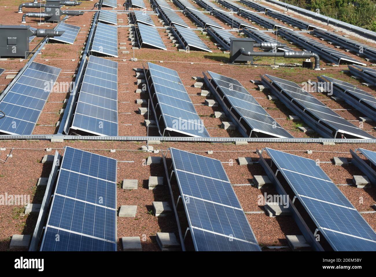 solar collector field and photovoltaics for generating sustainable ...