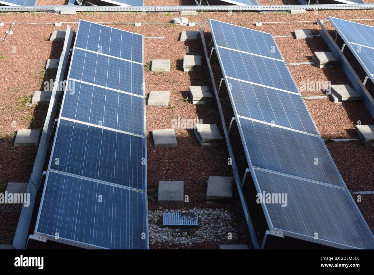 solar collector field and photovoltaics for generating sustainable ...