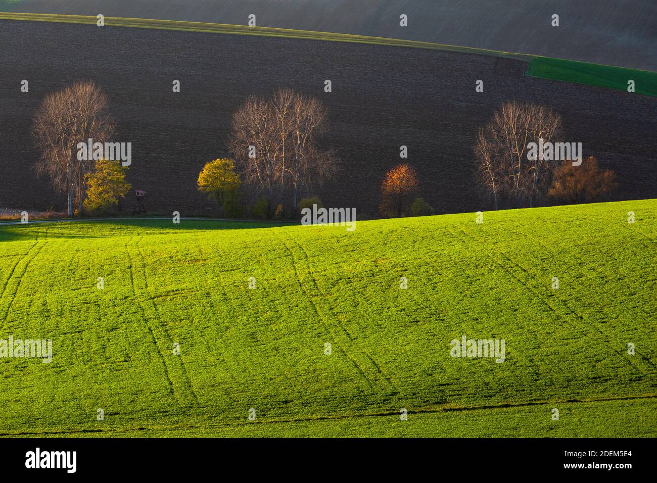 Rural landscape of Turiec region in northern Slovakia Stock Photo - Alamy