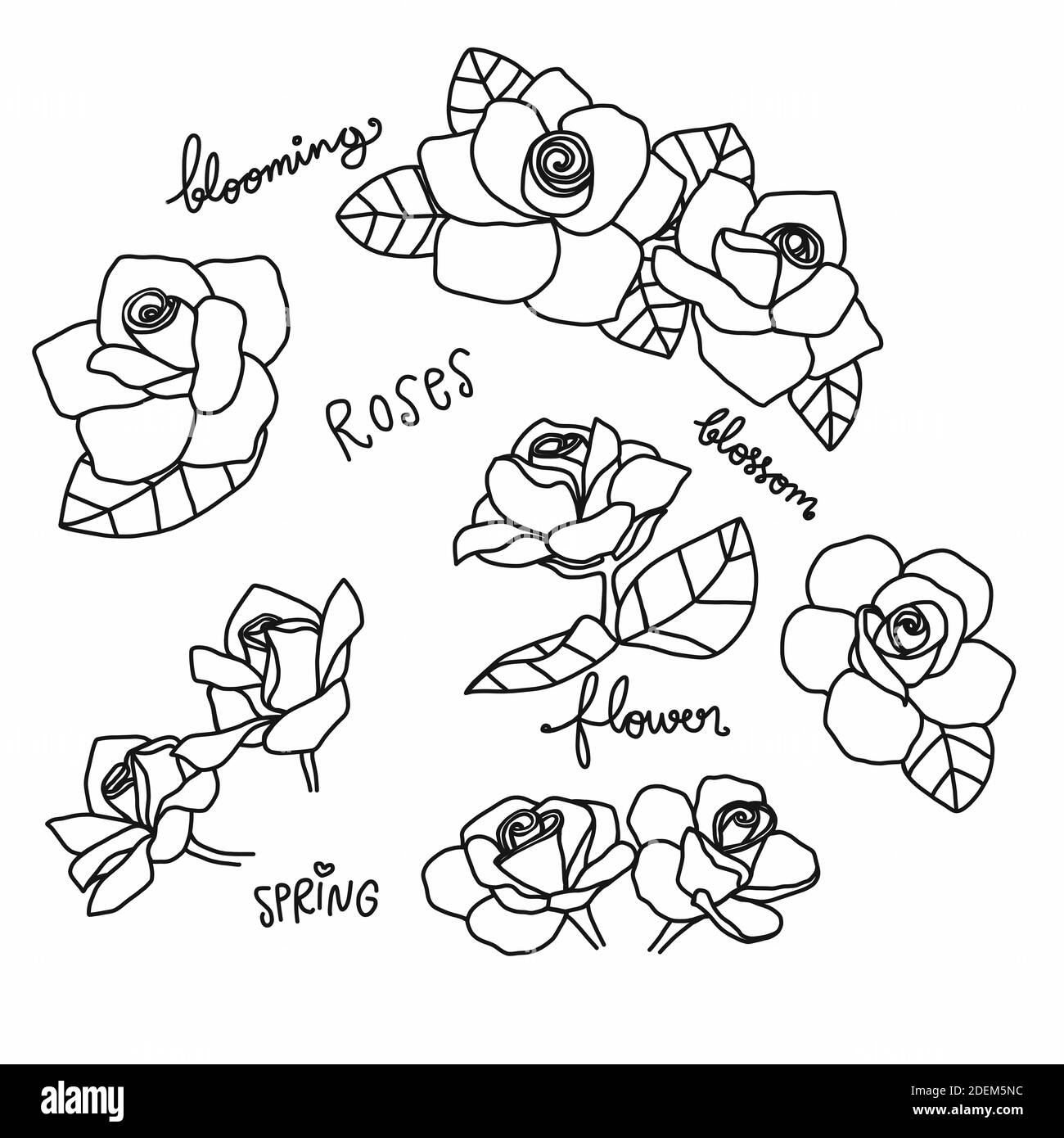 New School Rose Outline