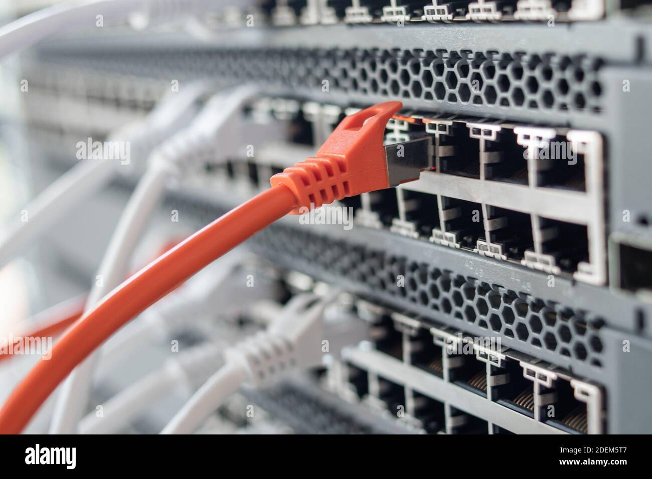 Working switches in data center with white and red cables Stock Photo ...