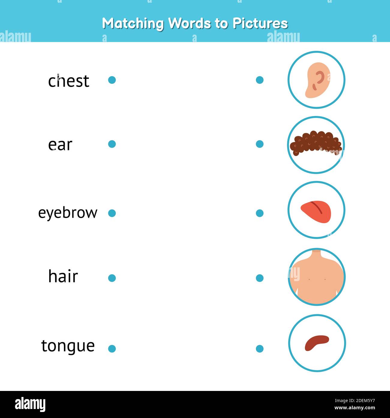 Match the words to pictures. Learn to read matching game for kids Stock ...
