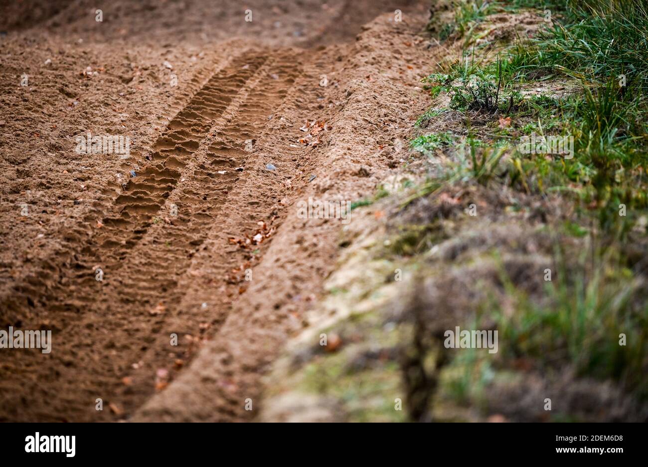 Ground crayfish hi-res stock photography and images - Alamy