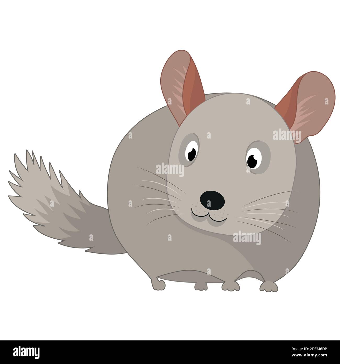 Vector illustration of a chinchilla Stock Vector Image & Art - Alamy