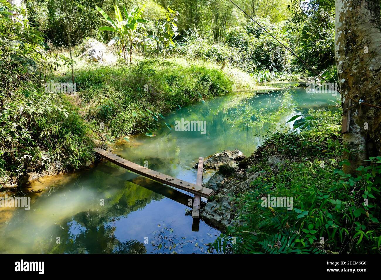 A long exposure shot of a water stream flowing through a jungle Stock ...