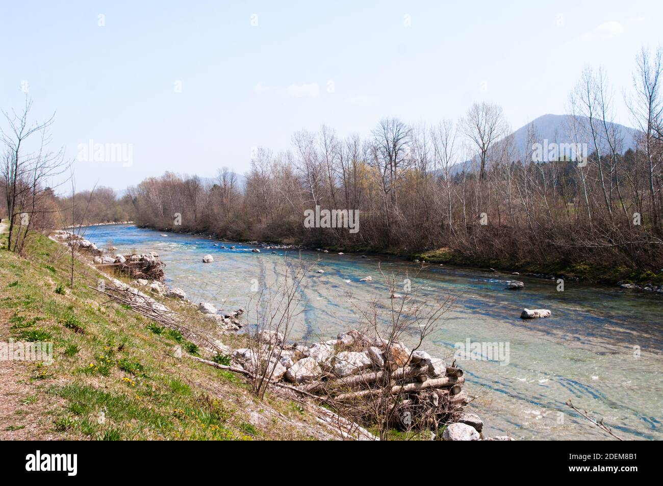 Spring river, trees without leaves Stock Photo - Alamy