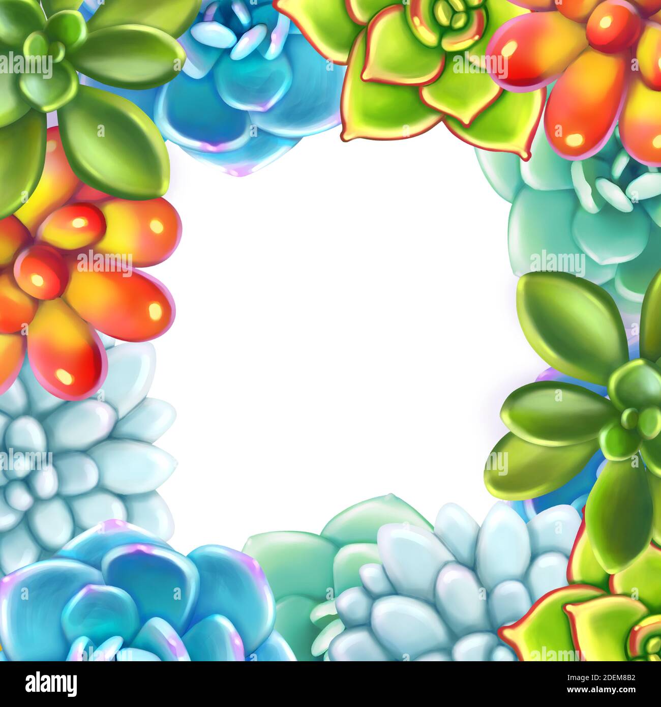 Floral Border. Succulents arranged un a shape of frame Stock Photo - Alamy