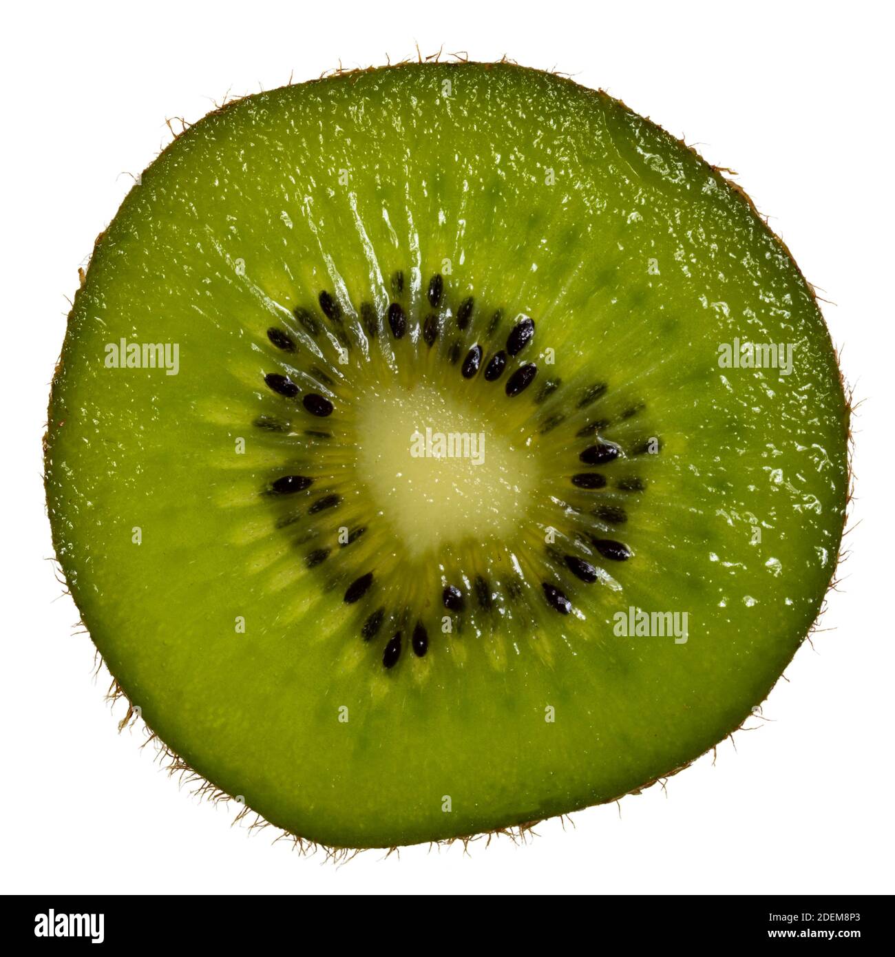 Detailed shot of intersection of a green Kiwi fruit, isolated on white ...