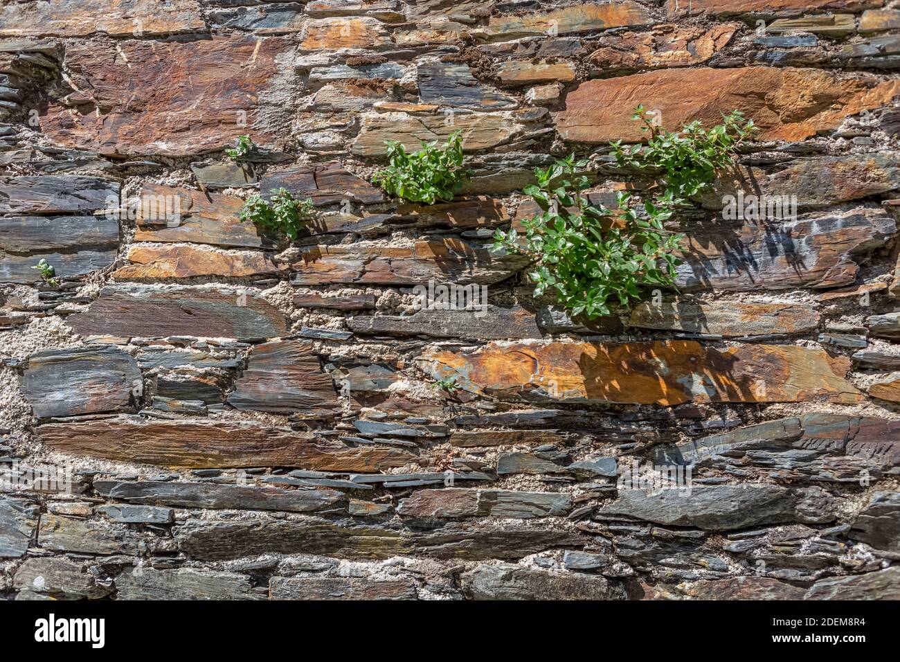 Detail view of a schist texture in detail of rustic granite wall with ...