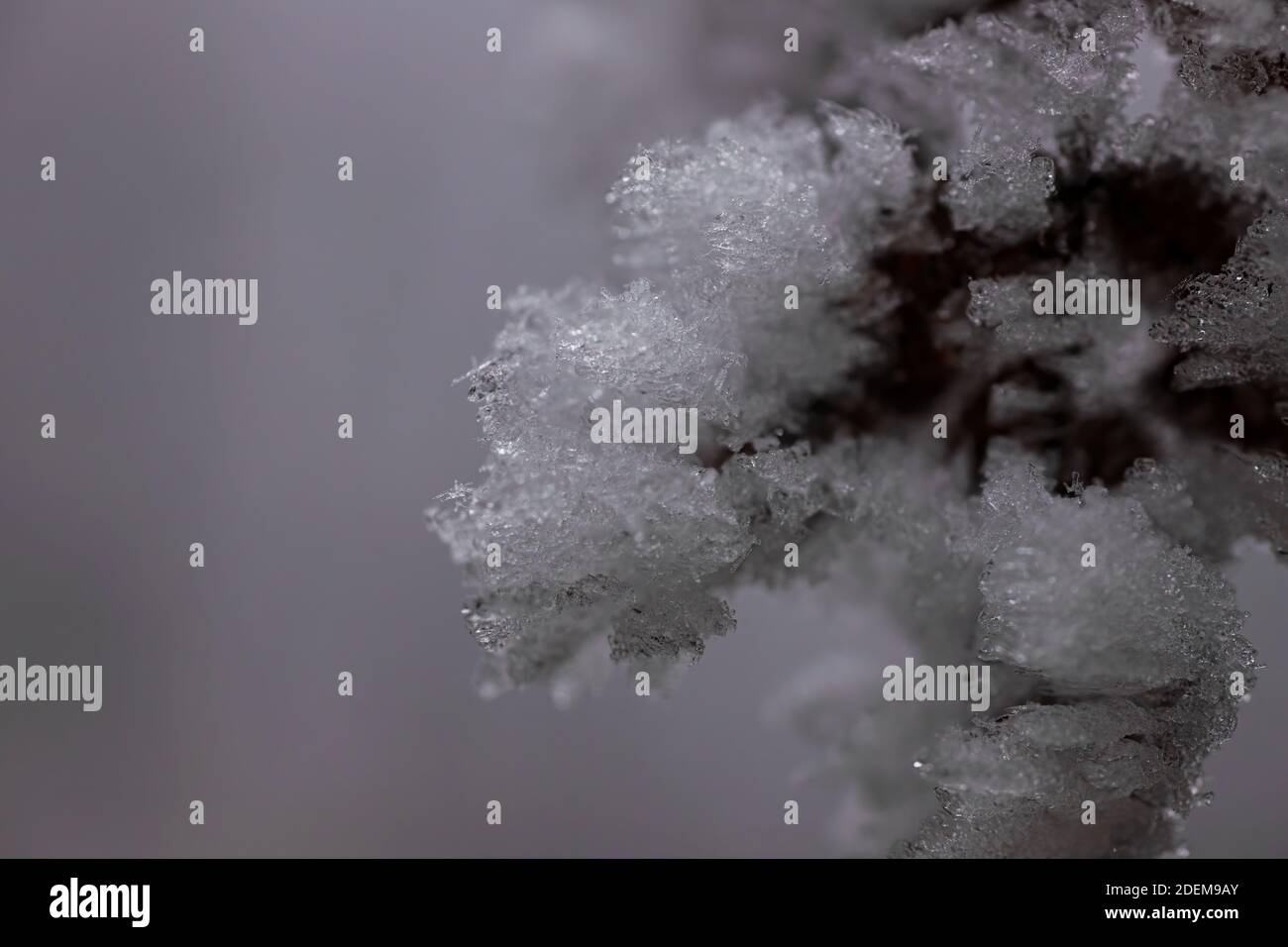 Tisa rocks, the first winter transformation Stock Photo - Alamy