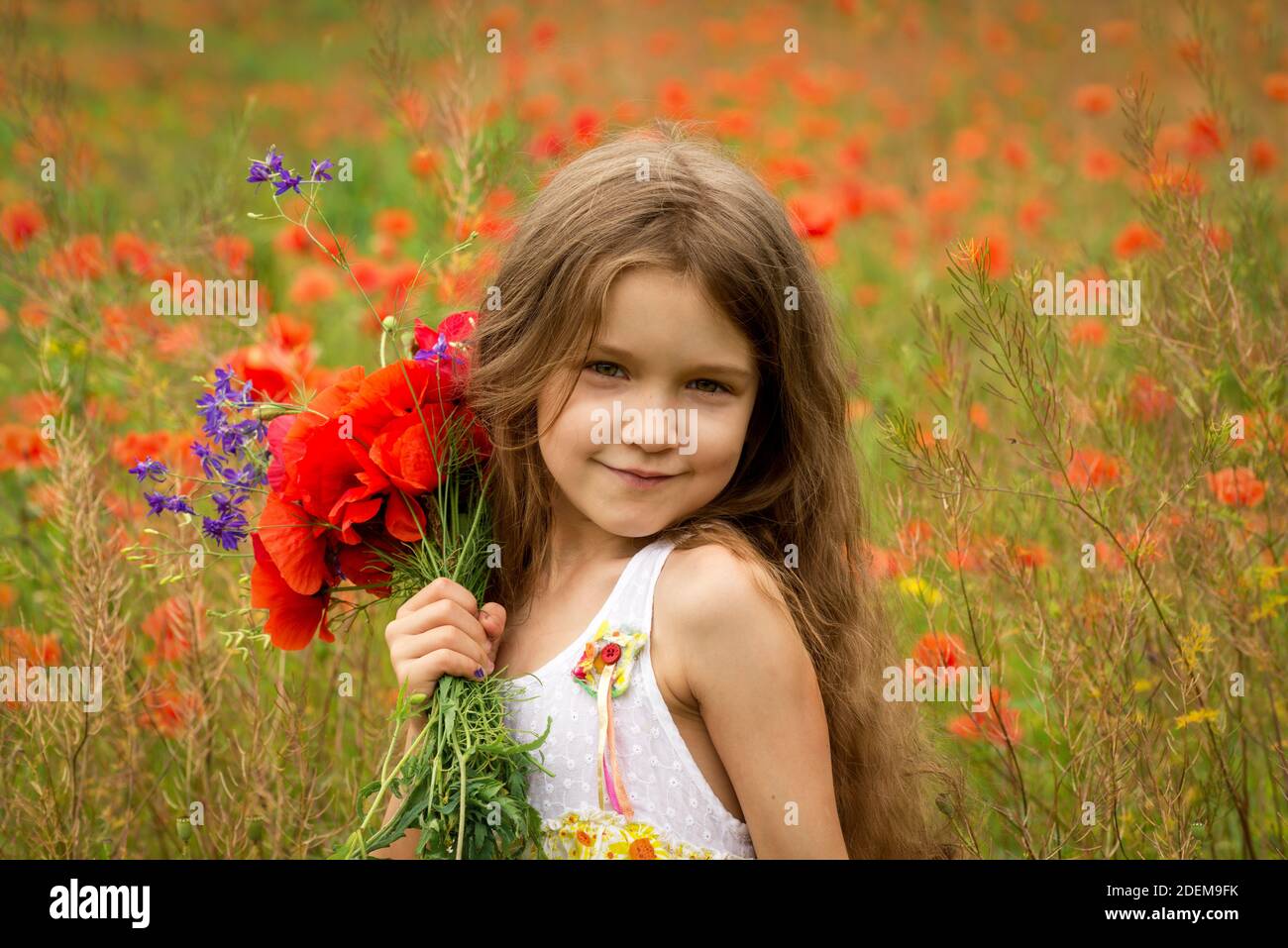 Adorable girl 6 years old in a bright poppy field. Portrait of a cute ...