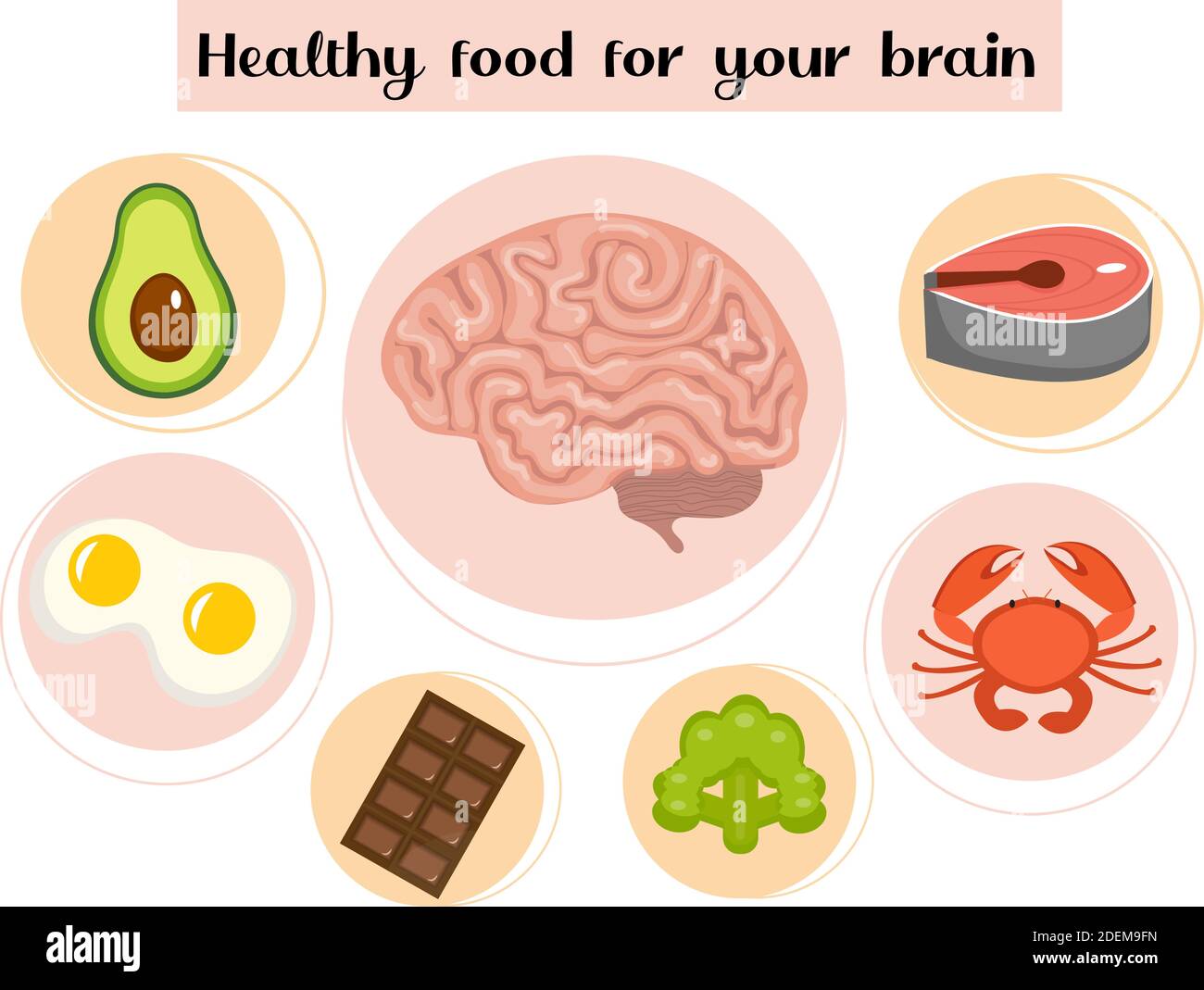 Healthy food for your brain. Concept of food and vitamins, stimulation ...