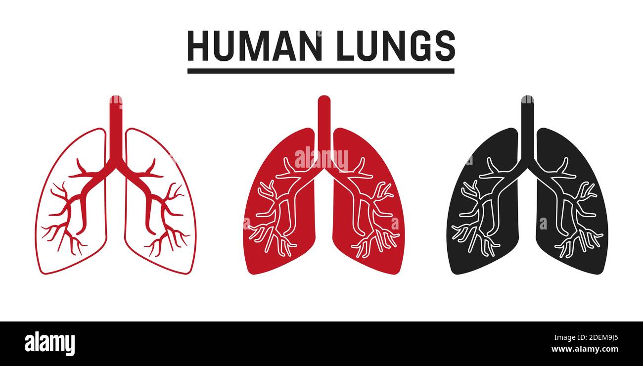Human lungs. Set of icons and medical symbols, human lungs with ...