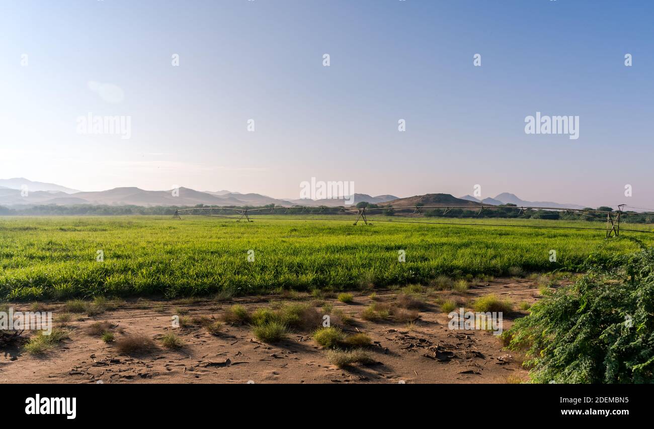 Agricultural land in the desert of Saudi Arabia Stock Photo - Alamy