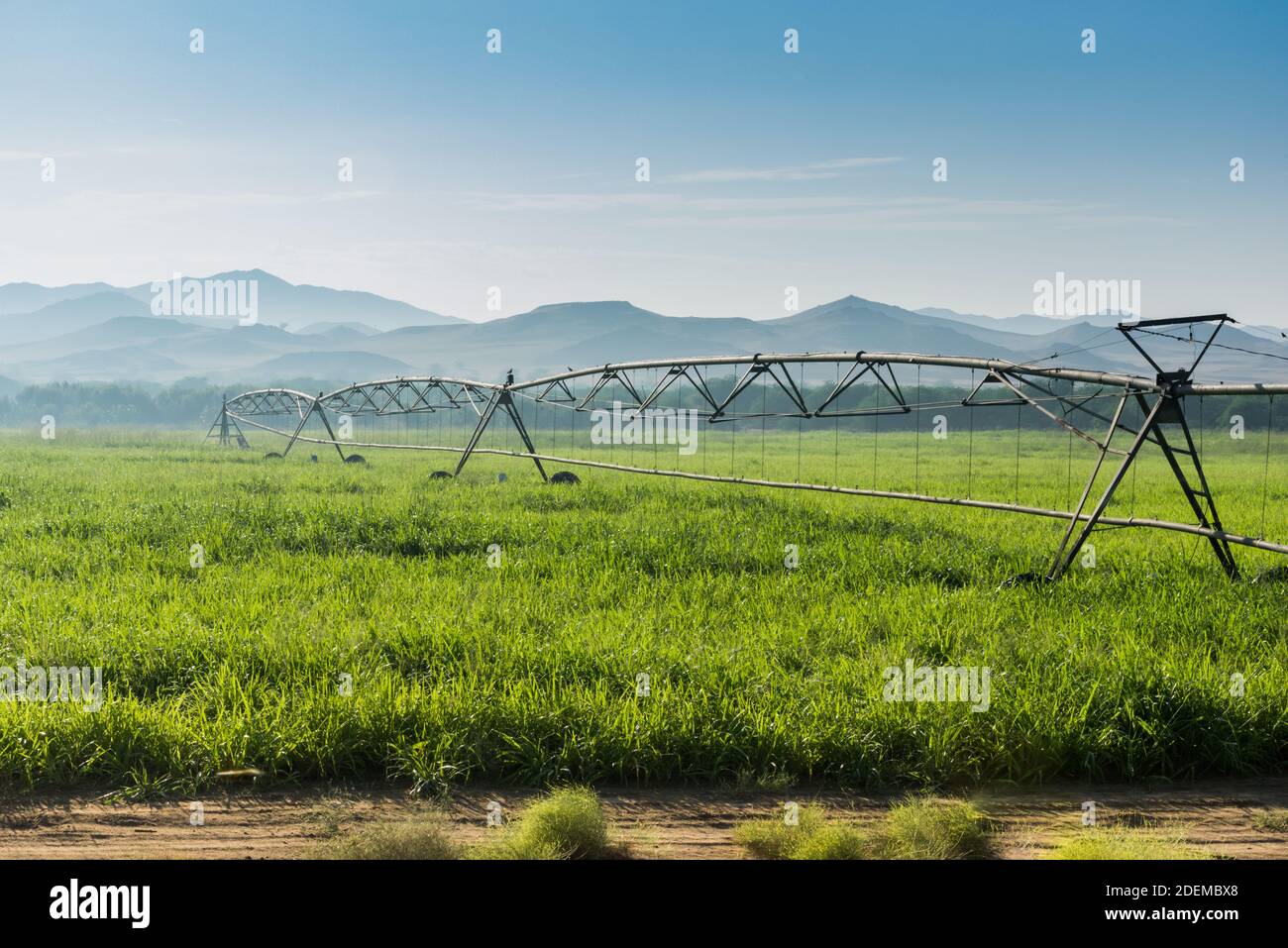 Rural saudi arabia hi-res stock photography and images - Alamy