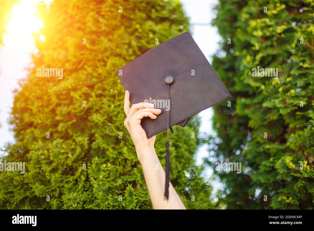 Successful graduate, in academic dresses, raised up graduation cap ...