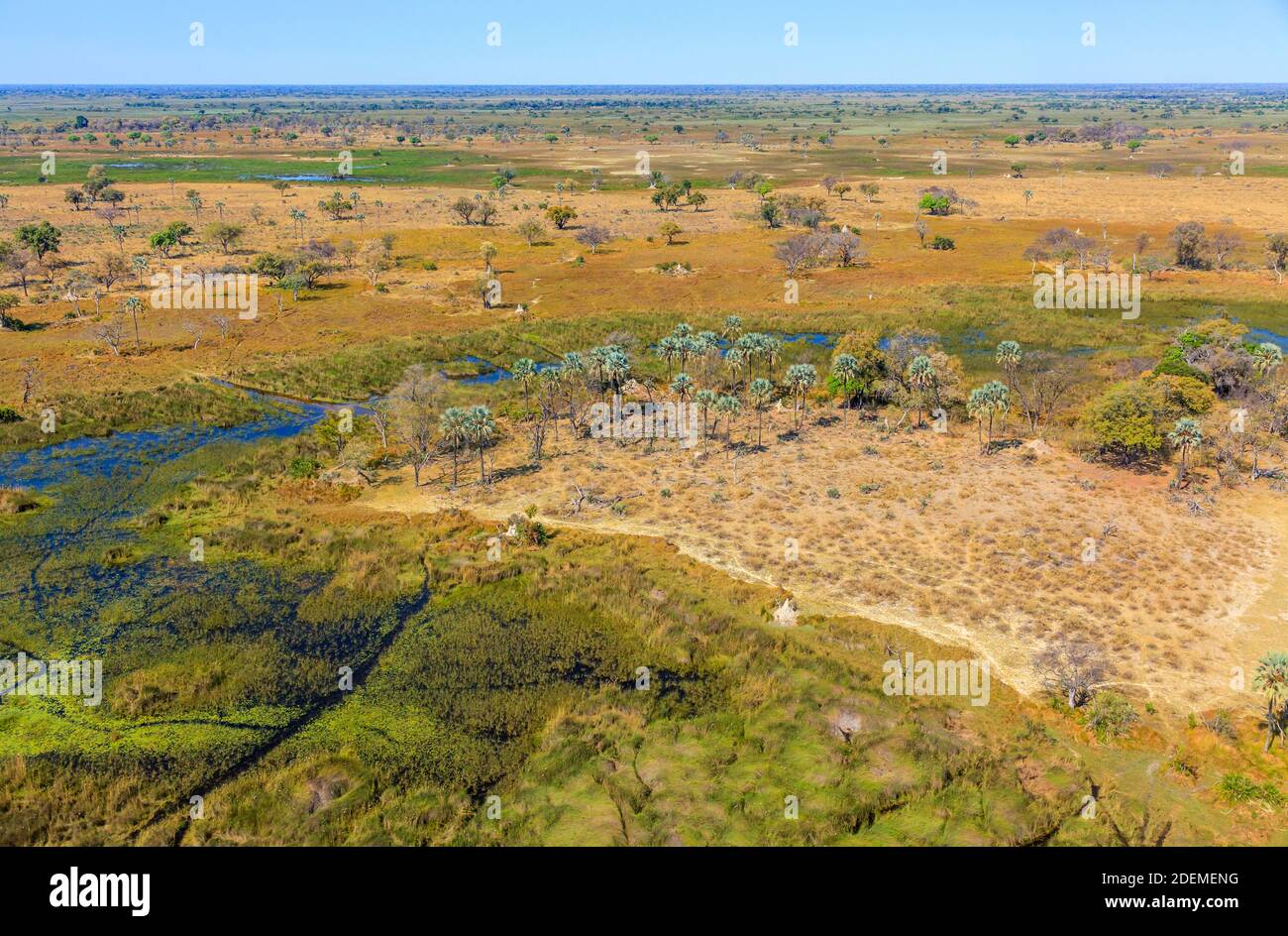 Botswana landscape hi-res stock photography and images - Alamy