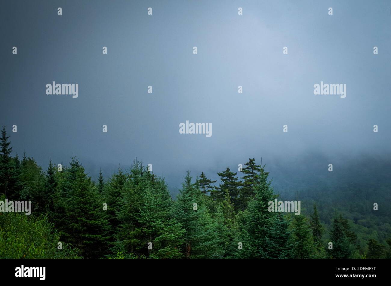 Mist, Kancamagus Hwy, NH Stock Photo - Alamy