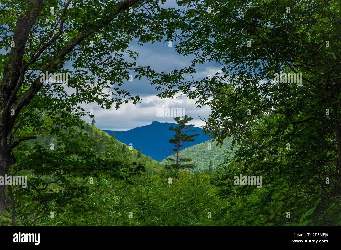 Mountain through leaf hi-res stock photography and images - Alamy