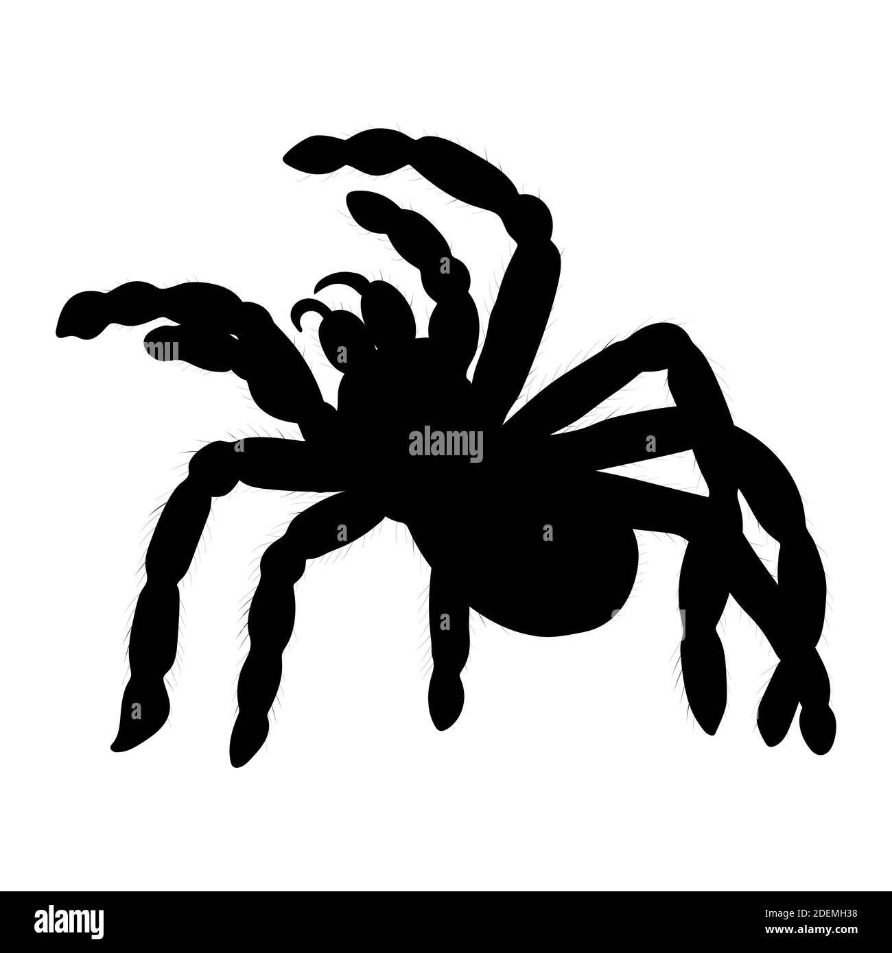 Tarantula silhouette Cut Out Stock Images & Pictures - Alamy