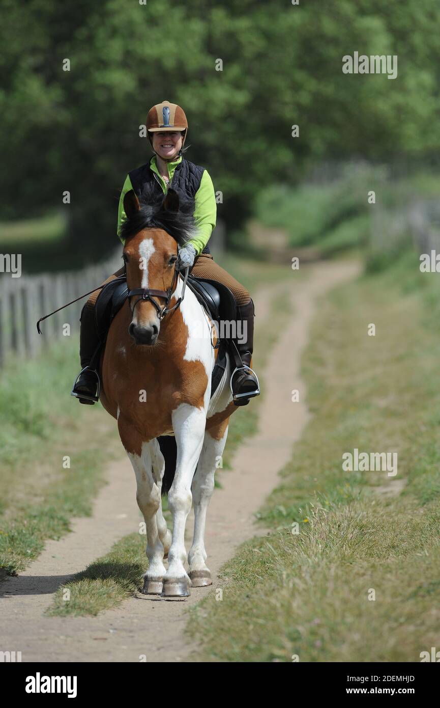 A Woman riding a horse out in the countryside Stock Photo - Alamy