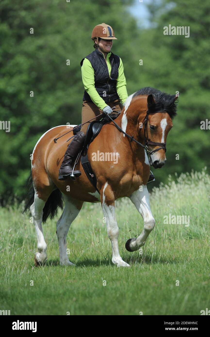 A Woman riding a horse out in the countryside Stock Photo - Alamy