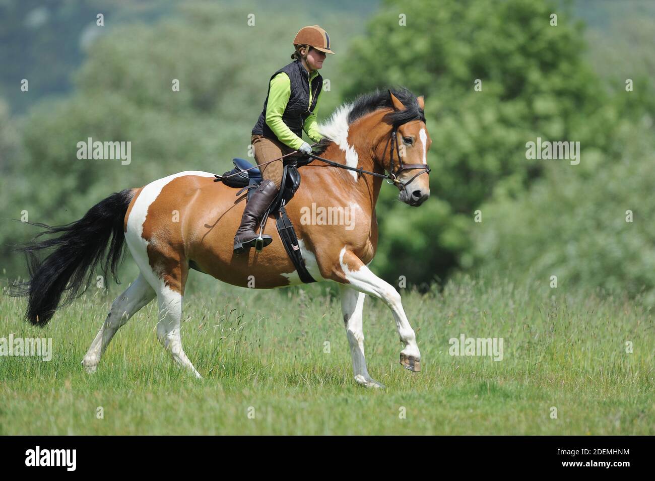 A Woman riding a horse out in the countryside Stock Photo - Alamy