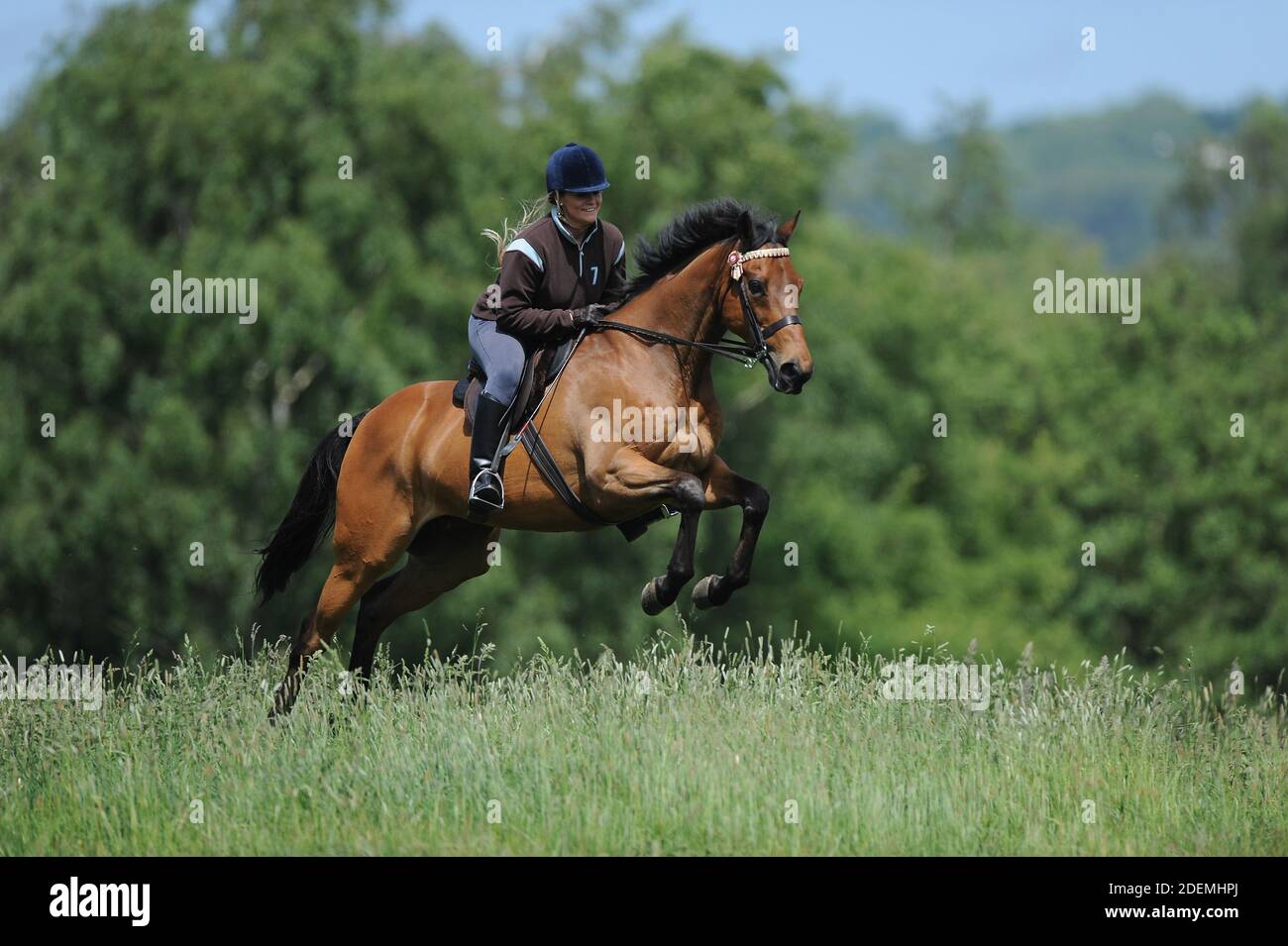 A Woman riding a horse out in the countryside Stock Photo - Alamy