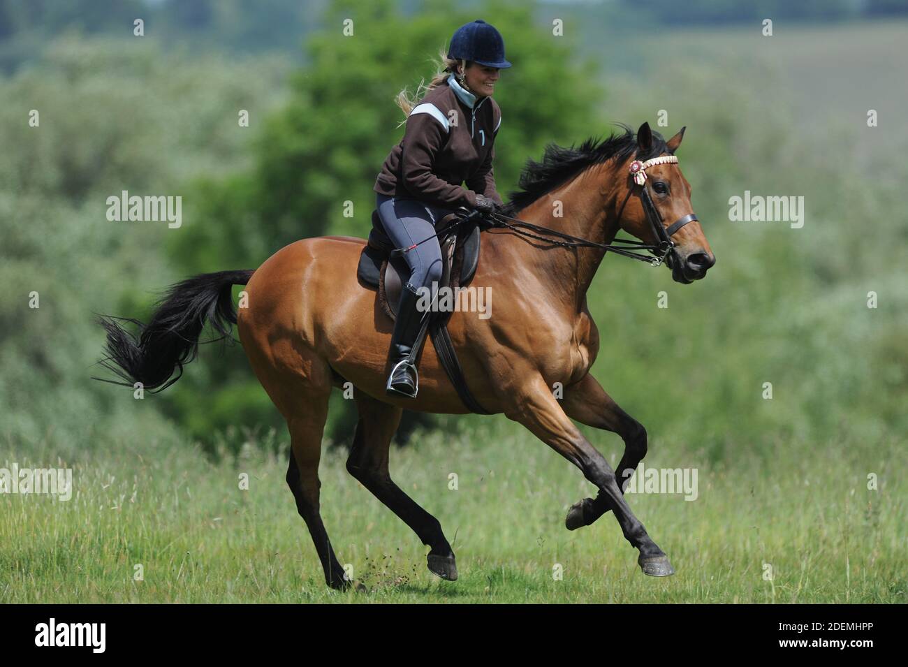 A Woman riding a horse out in the countryside Stock Photo - Alamy