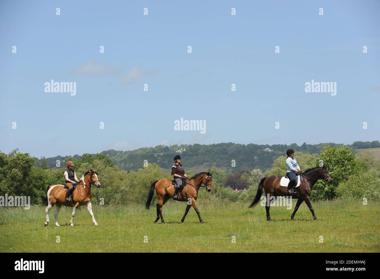 Three Women riding their horses out in the countryside Stock Photo - Alamy